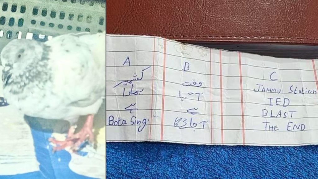 Mysterious Pigeon Incident Sparks Security Concerns Along India ...