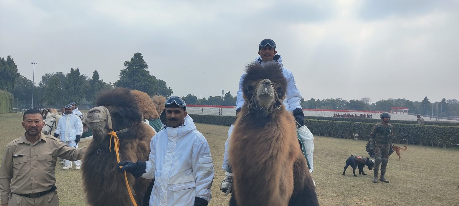 What Is a Bactrian Camel and Why Does the Indian Army Use It?